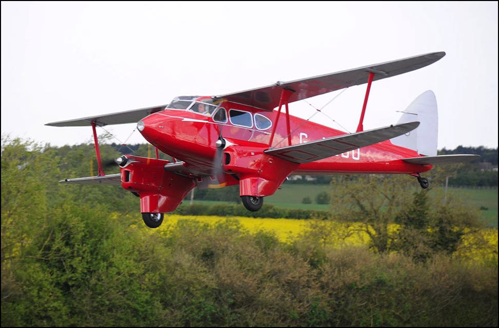 Shipping and Airlines - de Havilland Dragonfly